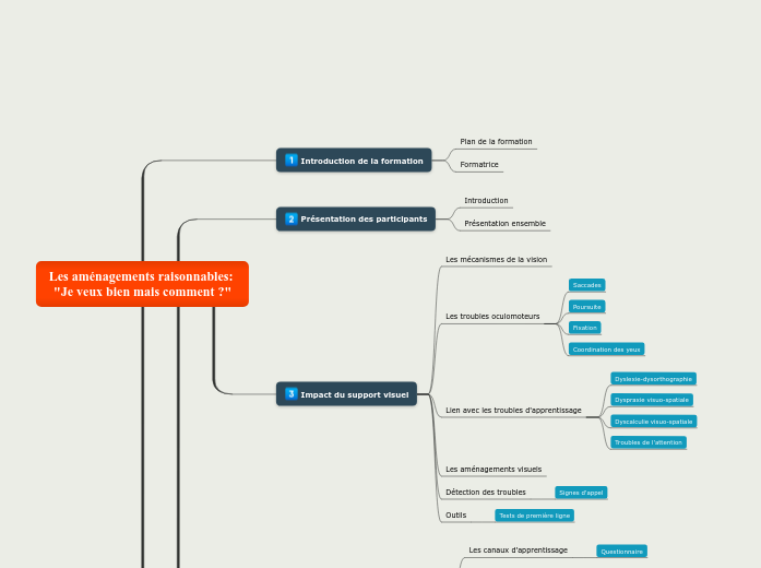Les aménagements raisonnables: 'Je veux bi...- Mind Map